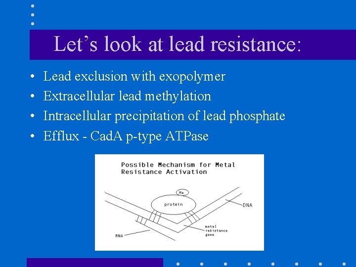 Metal Resistance of Microorganisms Amy Dahl Advanced Environmental