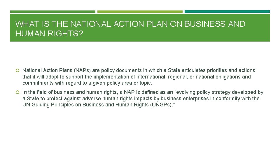 DEVELOPING THE NATIONAL ACTION PLAN ON BUSINESS AND