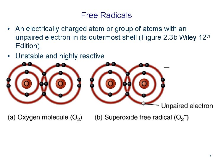 Learning Plan 1 2 Ch 2Chemistry of Life