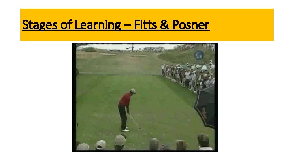 5 Stages of Learning Fitts Posner WLS Stages