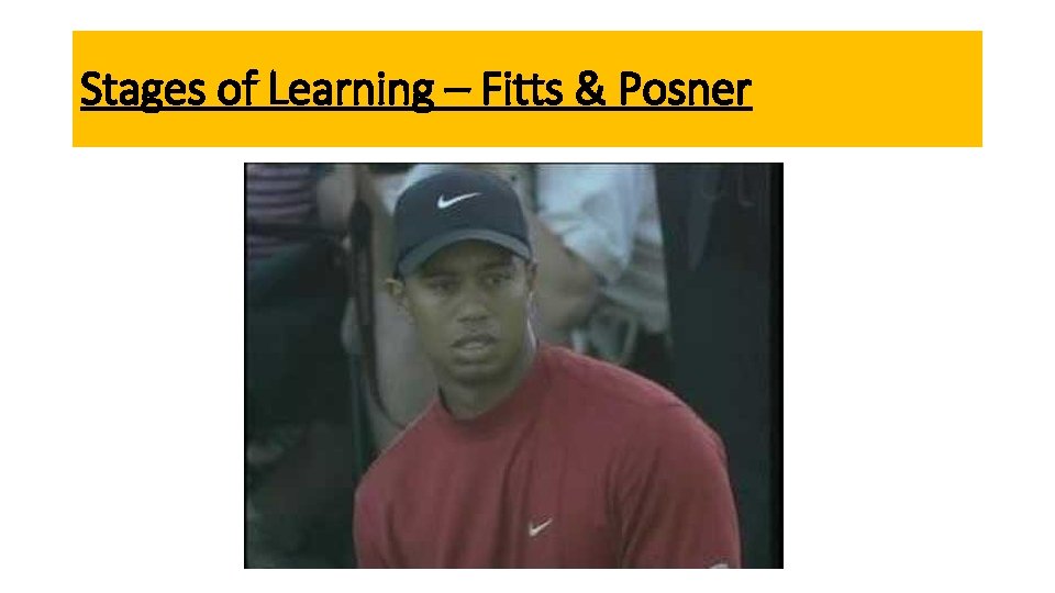 5 Stages of Learning Fitts Posner WLS Stages