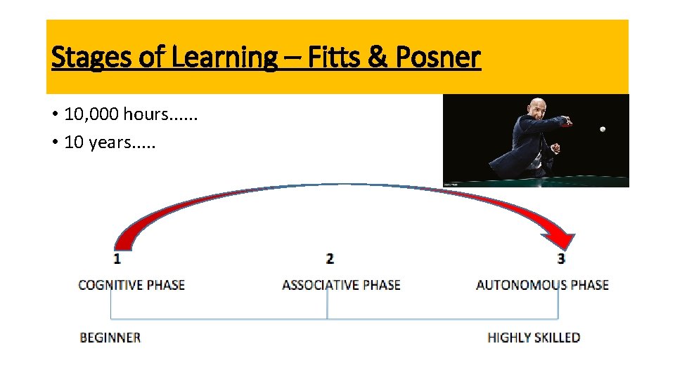 5 Stages of Learning Fitts Posner WLS Stages