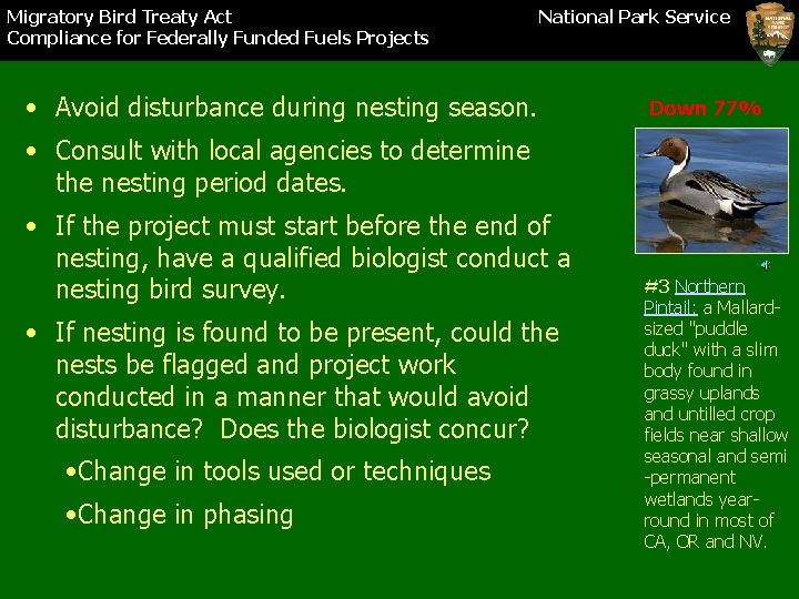 Migratory Bird Treaty Act Compliance for Federally Funded