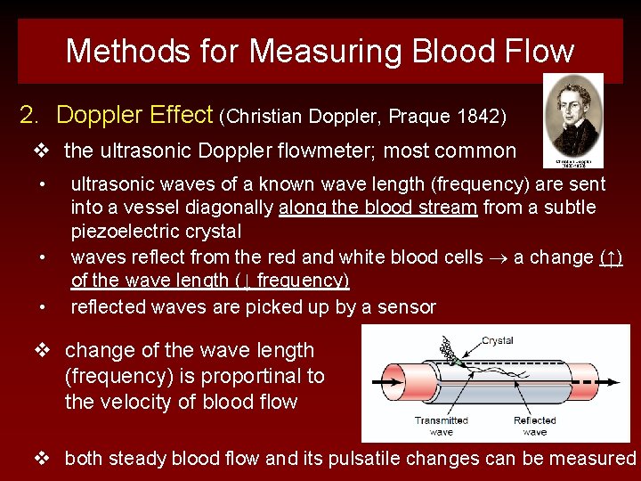 Regulation of Blood Flow Assoc Prof MUDr Markta