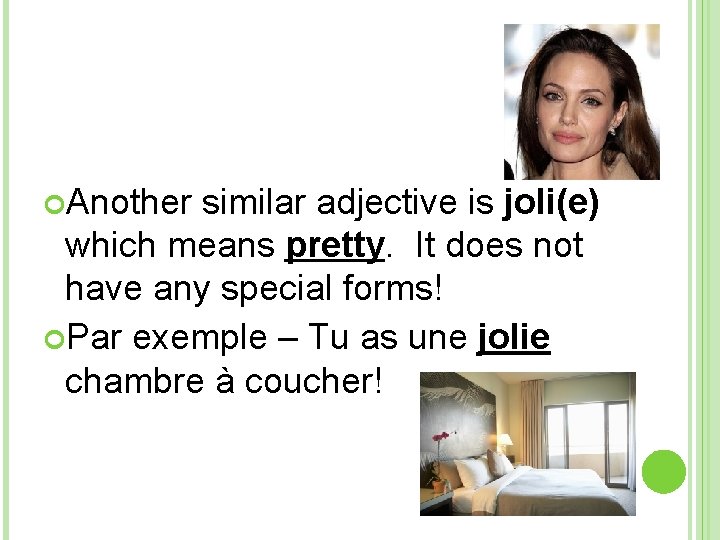 LES ADJECTIFS SPCIAUX BAGS Franais 1 In French