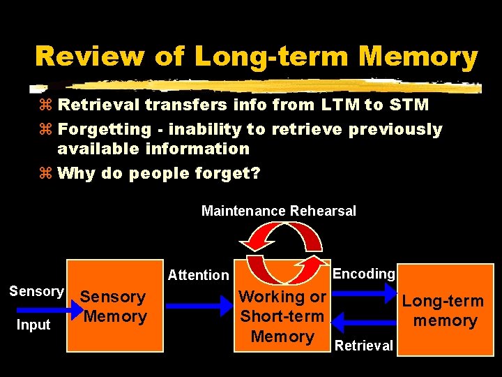 Review of Longterm Memory z Retrieval transfers info
