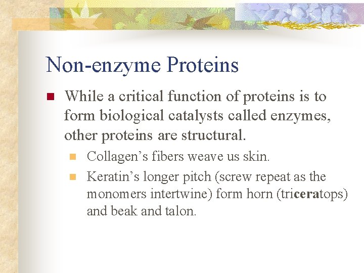 Zumdahls Chapter 23 Biochemistry Chapter Contents n n