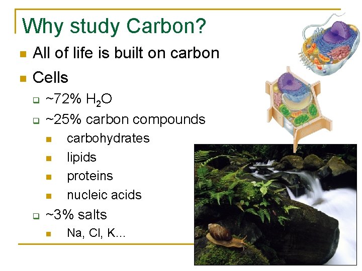 Introduction to Organic Chemistry Carbon the Building Blocks