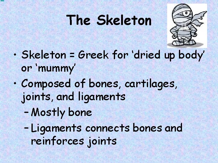 The Skeleton Chapter 7 Part A The Skeleton