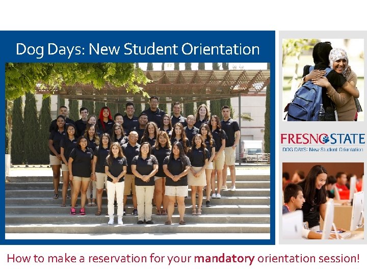Dog Days New Student Orientation How to make