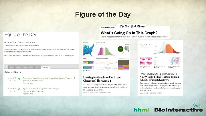Developing Quantitative Skills Using HHMI Bio Interactive Resources