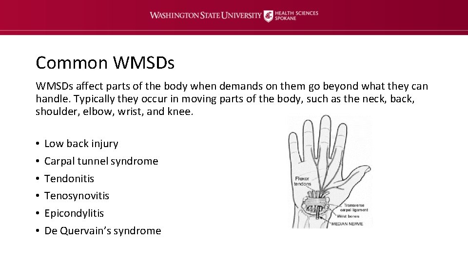 Office Ergonomics Department of Environmental Health Safety Overview