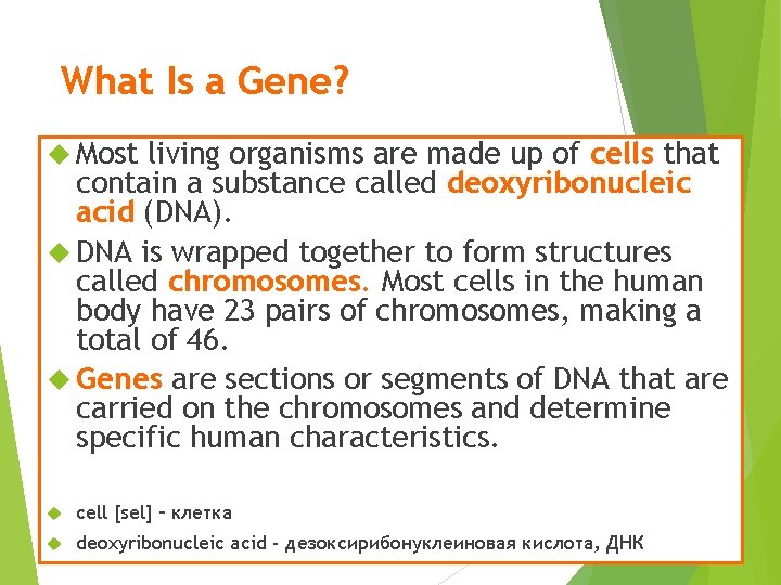 What Is a Gene Most living organisms are