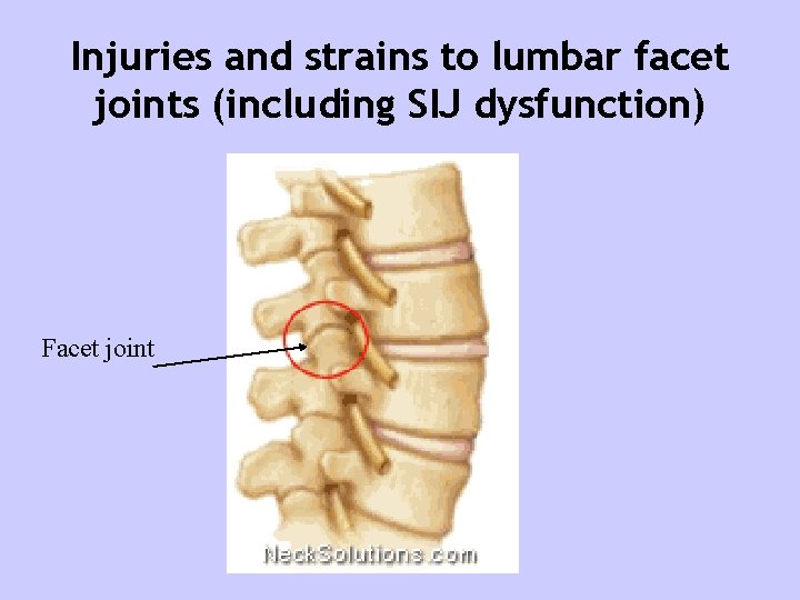 The Lumbar Spine Introduction Prevalance Diagnosis of lumbar
