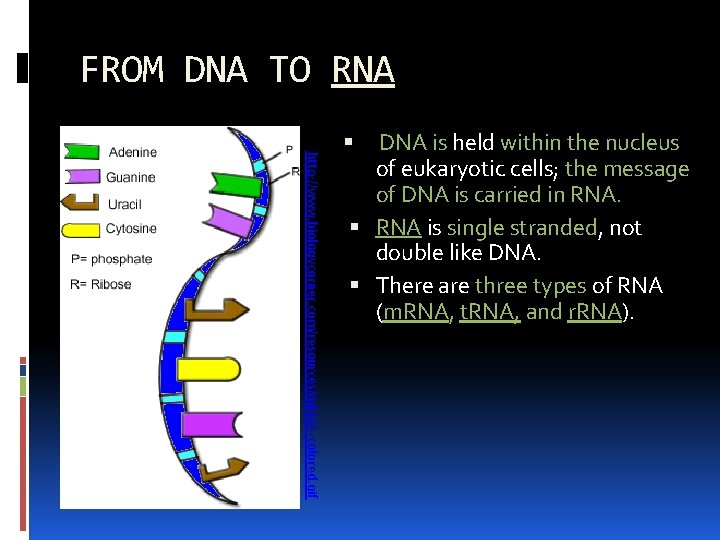 http simplebooklet comuser Filesa8040158 zw 61 u ZJ