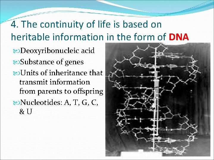 Themes in the Study of LIFE Biology bios