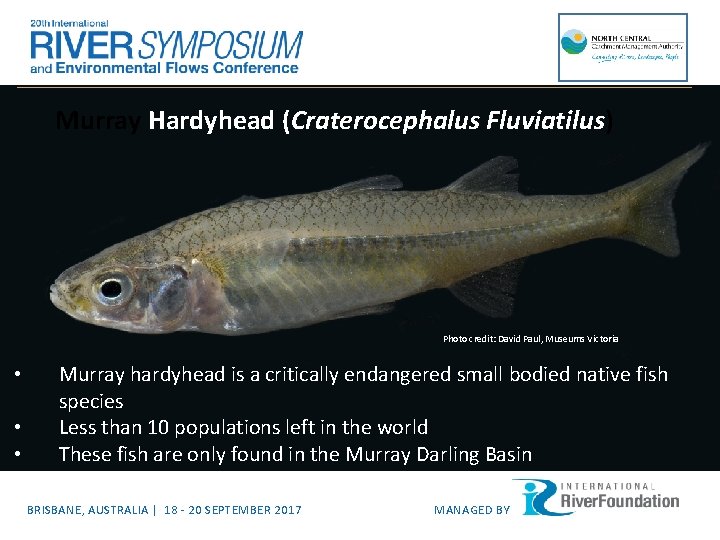 Making a big difference for a little fish