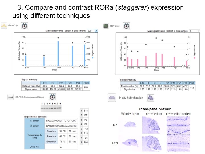Studying gene expression patterns through autism SEPTA aka