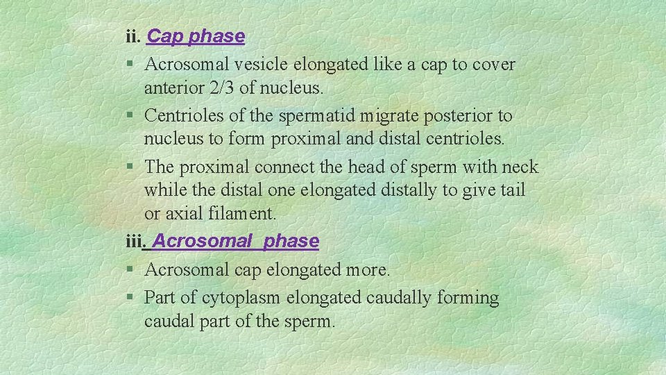 PHYSIOLOGY OF REPRODUCTION DR Hassan Ahmed B V