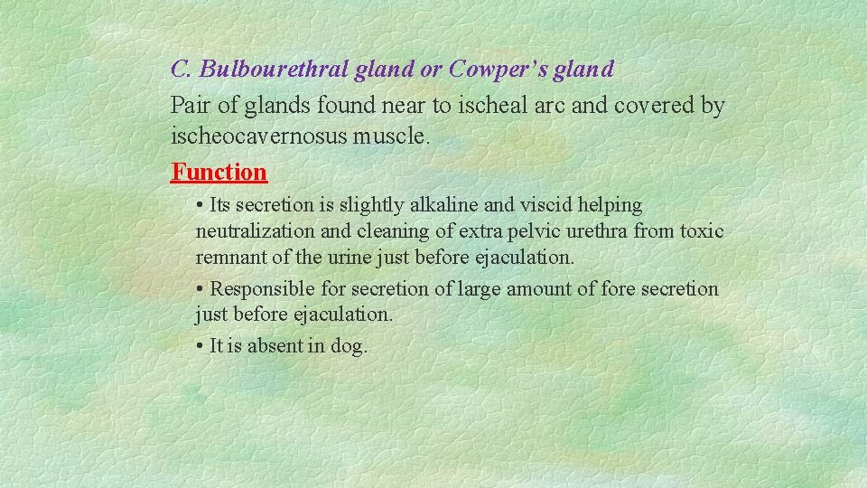 PHYSIOLOGY OF REPRODUCTION DR Hassan Ahmed B V