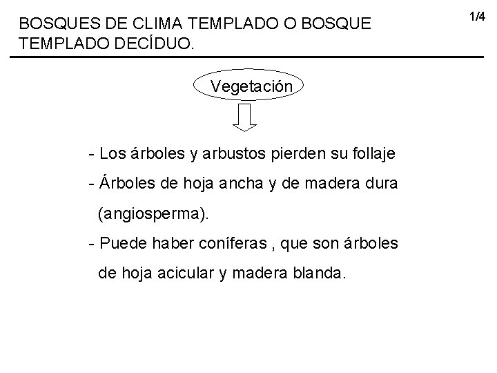 BOSQUES DE CLIMA TEMPLADO O BOSQUE TEMPLADO DECDUO