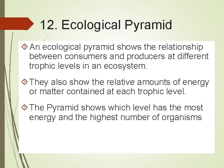 Levels of Organization Food Chains Food Webs and