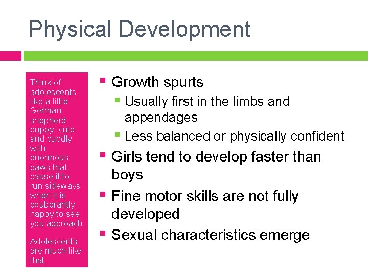 TWEENS IN LIBRARIES Facilitated by Barb Janicek Christy