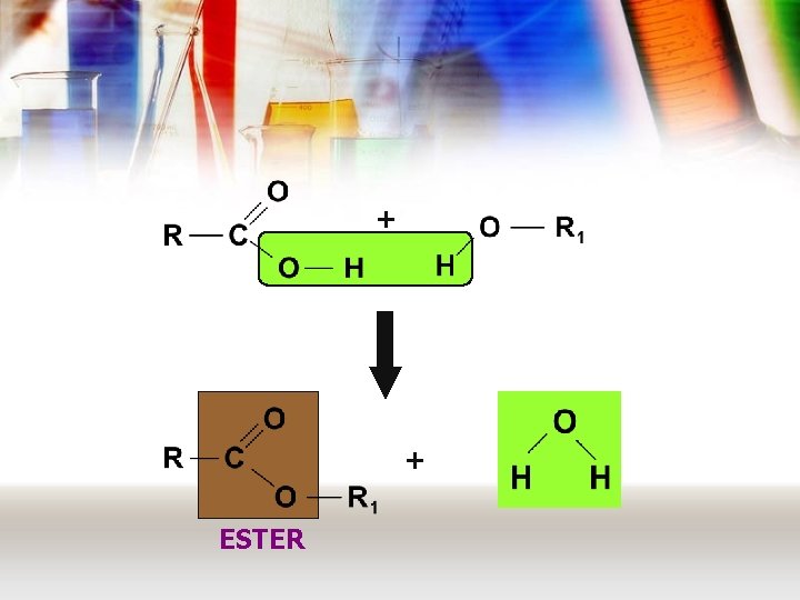 Alkanoic acids and Esters Intermediate 2 Chemistry Unit