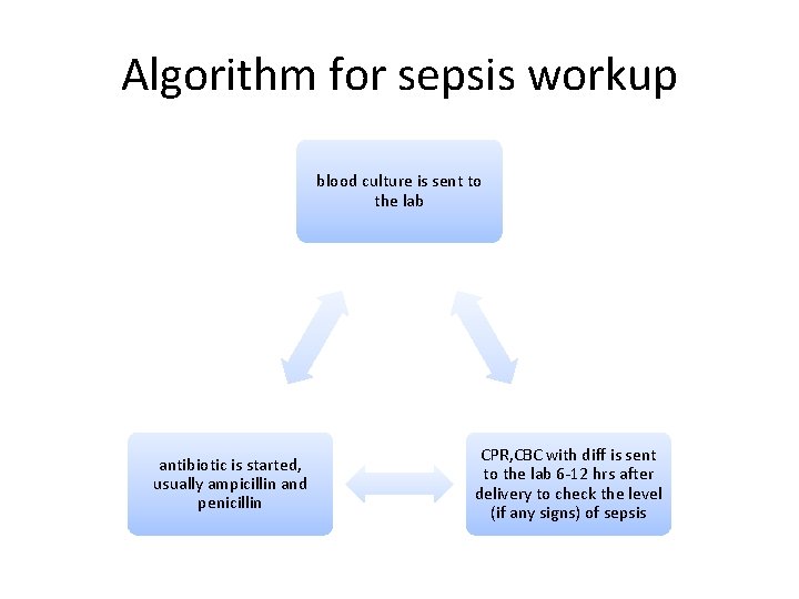 Assessment for newborns sepsis and workup Veronica Dixon