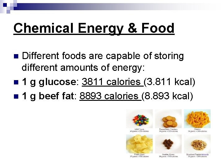 NOTES 9 1 9 2 Cellular Respiration Vocabulary
