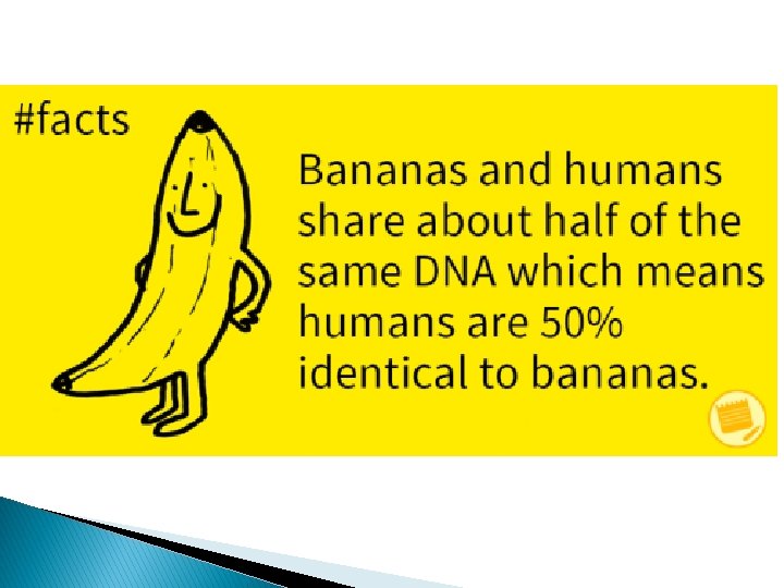 Dr Richard Brouse Visit the Sunnyside Health Center