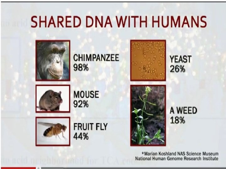Dr Richard Brouse Visit the Sunnyside Health Center