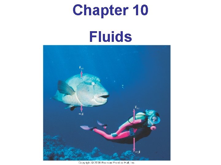 Chapter 10 Fluids Phases of Matter The three