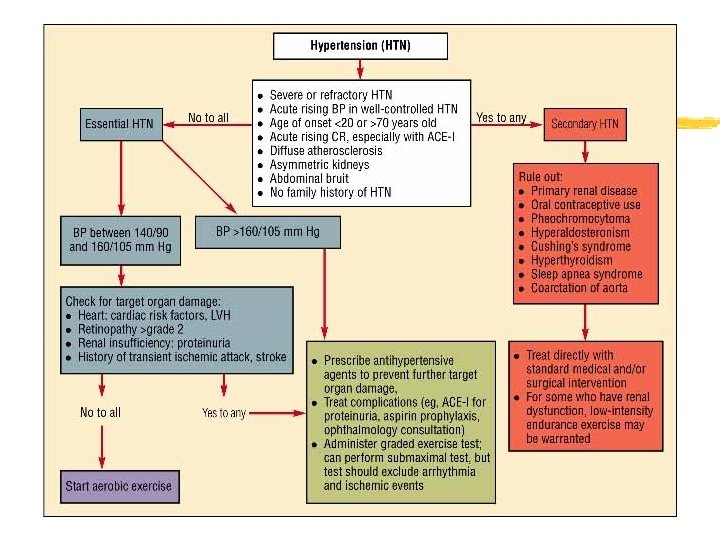 Therapeutic role of exercise in treating hypertension Educational