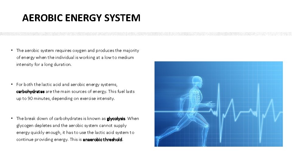 AEROBIC AND ANAEROBIC EXERCISE Year 11 ALPINE SKI