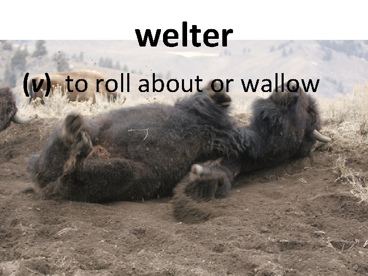 Vocabulary 7 antiseptic adj preventing infection or decay