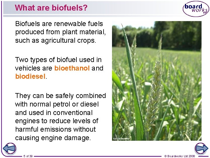 Biofuel and the carbon cycle Objective 16 January