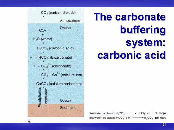 Seawater Chemical Properties Phases of Substances 2 The