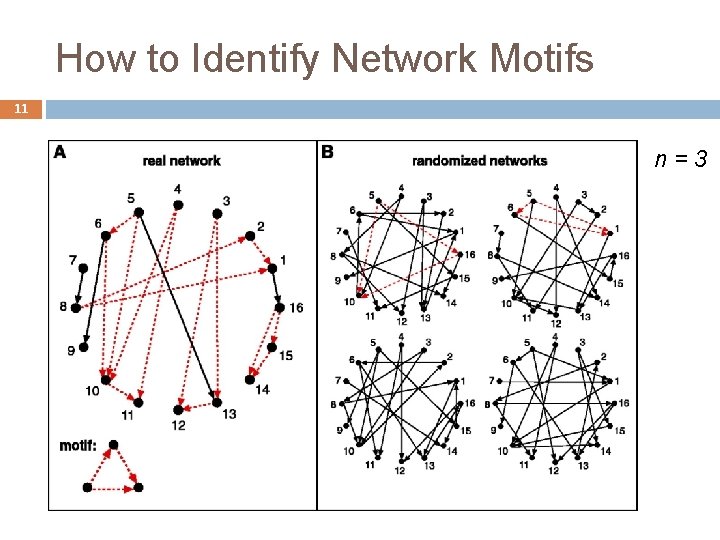 1 DESIGN PRINCIPLES OF BIOLOGICAL NETWORKS Network Motifs