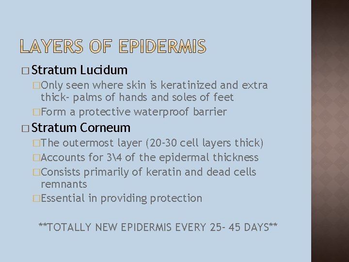 Skin and associated structures Primarily by their tissue