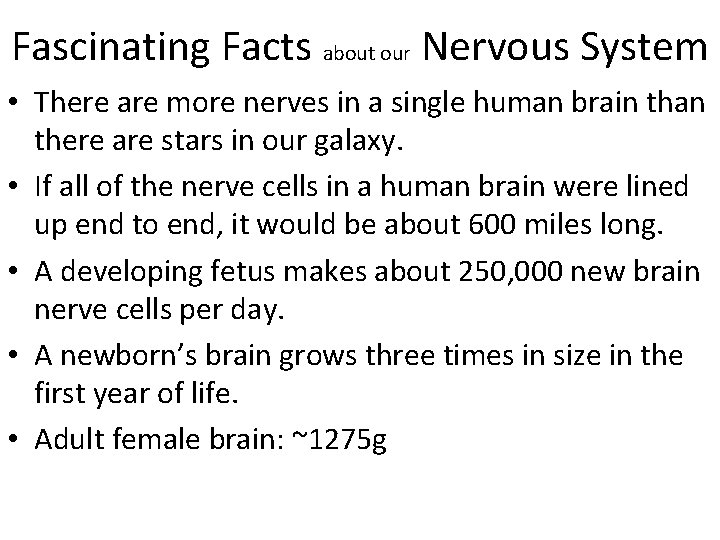 The NERVOUS SYSTEM Fascinating Facts about our Nervous