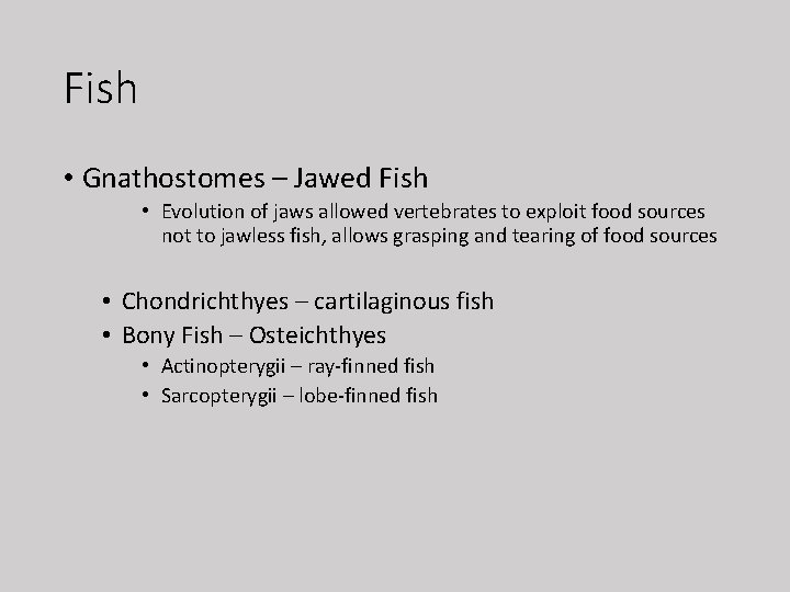 Chapter 29 Chordates Vertebrates Insert photo here representing