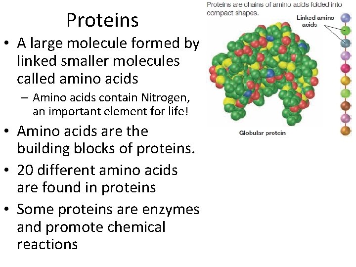 Unit 1 Scientific Theory and Biomolecules Laboratory Safety