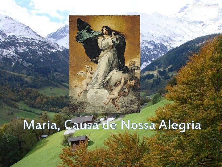 Maria Causa de Nossa Alegria Alegria bem diferente