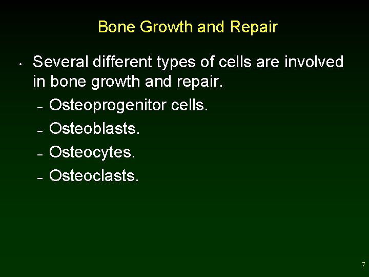 Chapter 10 Skeletal System 1 Outline Tissues of