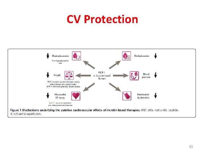 Current Status of Incretin Based Therapies in Type