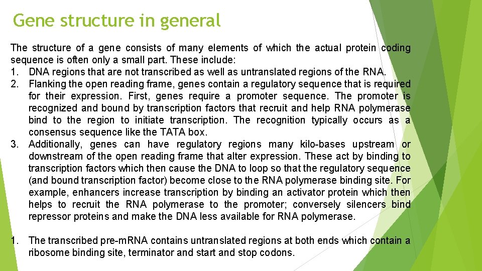 nd 2 lecture Gene structure by Dr Susan
