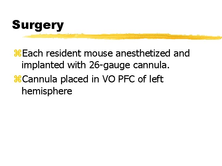 Social instigation and aggressive behavior in mice role