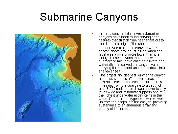 The Sea Floor In the brief history of