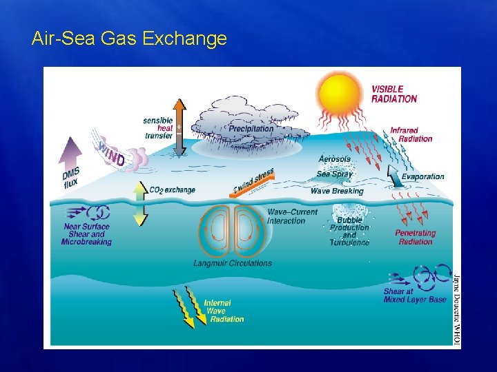 Introduction to Observational Physical Oceanography 12 808 Class